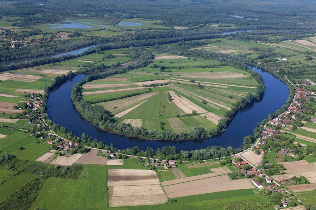 Risk Assessment Study of invasive species in Sava River Basin for the ...