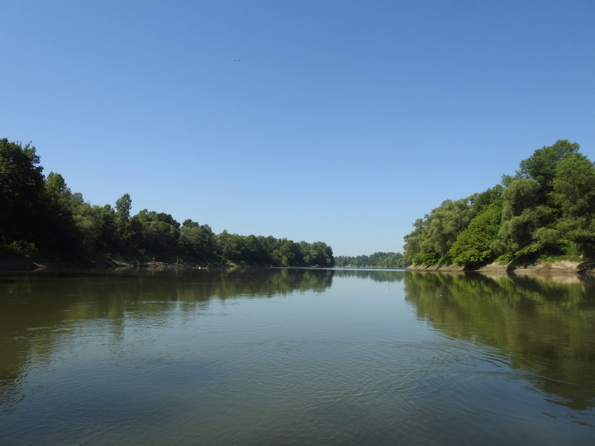 Risk Assessment Study of invasive species in Sava River Basin for the ...