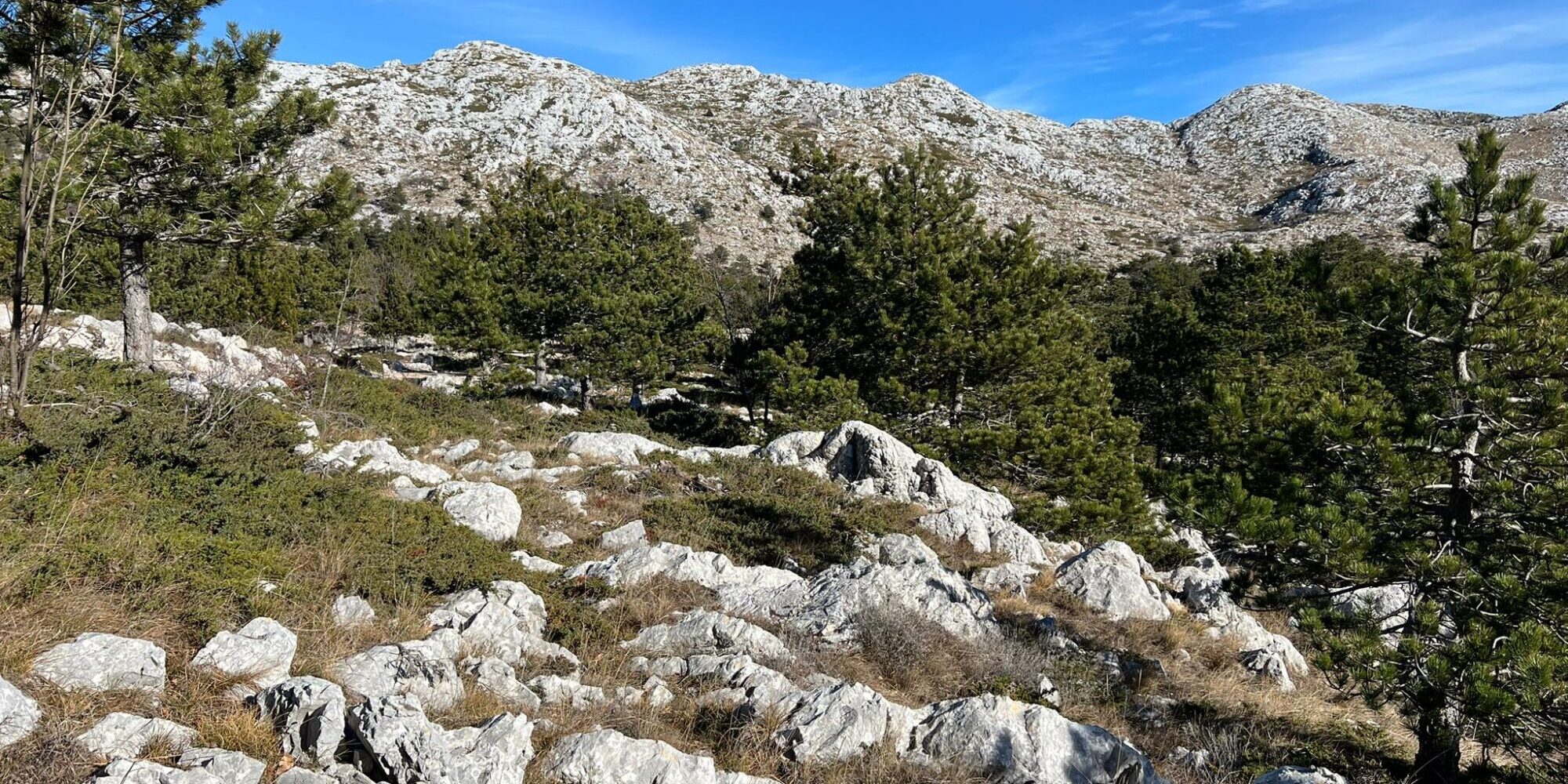 Project Documentation and Feasibility Study on the Need for Monitoring ...